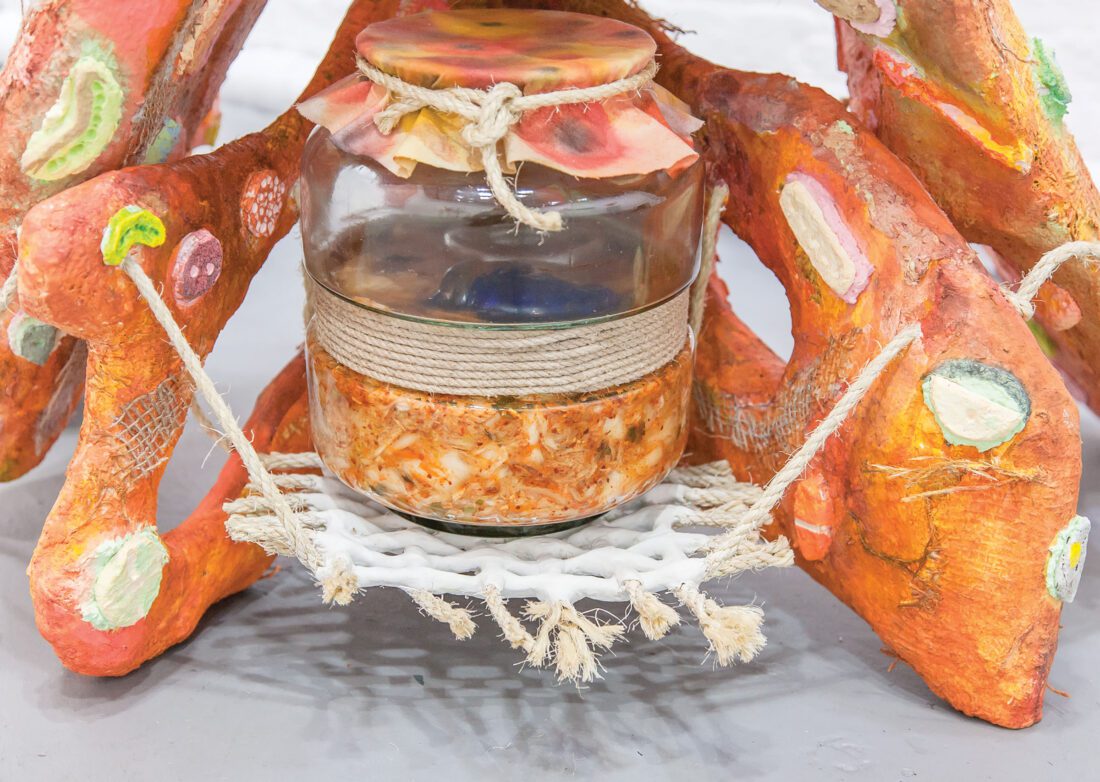 The Transformative Art of Fermentation – Fermentation